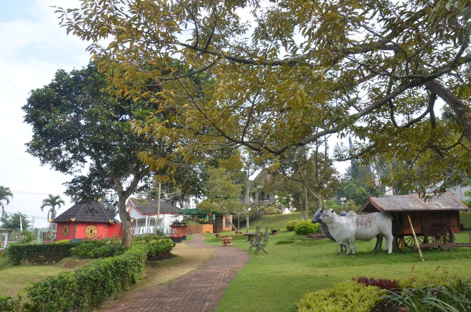 Lomba Lari 55 Km, Dua Ribu Pelari Siap Tempur - WartaTransparansi